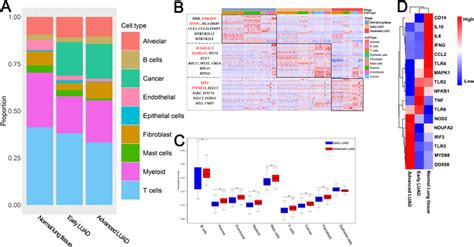 The Single‐cell Transcriptomes Of Each Cell Type In Normal Lung Tissues