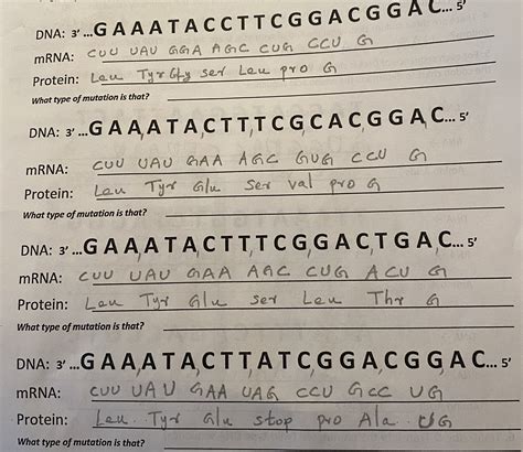 Solved DNA G A A A A C C T T C G G A C G G A C Chegg