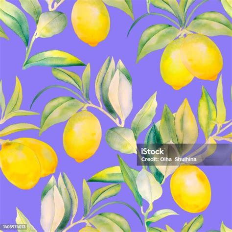 가지에 익은 레몬 과일은 이음새가 없는 수채화 무늬입니다 끝없는 노란색 감귤류 배경 고립 된 배경에 손으로 그린 열대 나무 그림 여름 식물 시칠리아 인쇄 섬유용 레몬에 대한