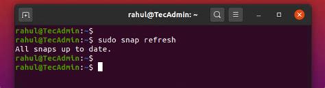 How To Install Snap Packages On Ubuntu And Other Linux Distributions TecAdmin