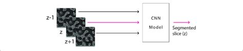 Basic Block Diagram Of 2D CNN Receiving As Input For The Segmentation Download Scientific