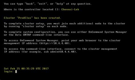 Remote Infrastructure Management Netapp Ontap 91 Cli Cluster Setup