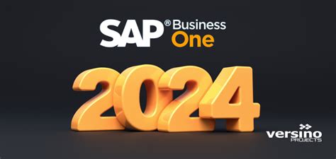 Sap Software Solutions And Company Direction In 2024 English Saga