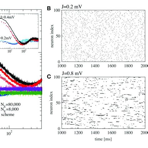 Large Amplification Of Slow Fluctuations Explains Heterogeneous Download Scientific Diagram
