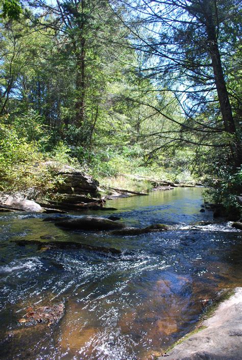 A New Take On Environmental Filtering And Habitat Matching
