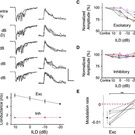 Synaptic Responses Underlying Ild Dependent Gain Modulation A Download Scientific Diagram