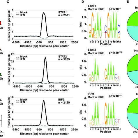Ifn Stimulated Isgf3 Recruitment And Transcriptional Activity