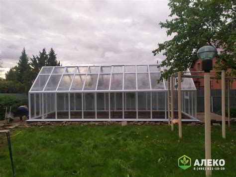 🌳 Купить Английскую теплицу с одним входом 3,5×9 от производителя АЛЕКО ...