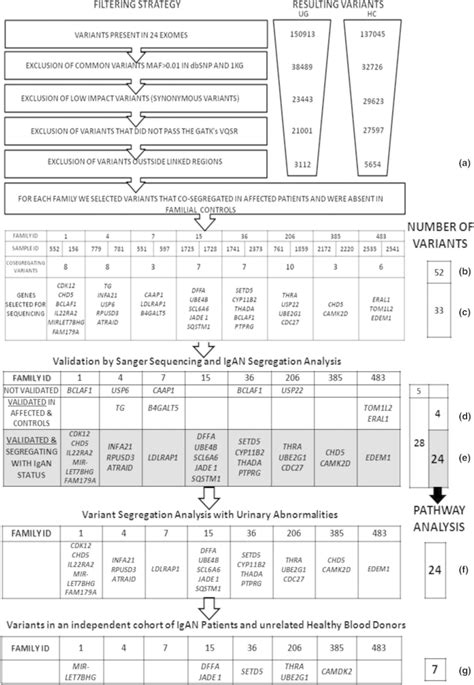 Overview Of Variant Filtering And Analysis Strategy Used To Identify Download Scientific