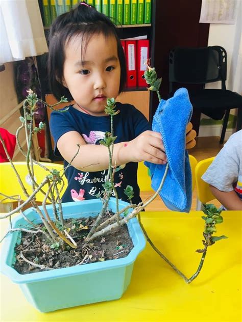 Байгаль нийгмийн орчин хөгжүүлэх Эрхий мэргэн цэцэрлэг