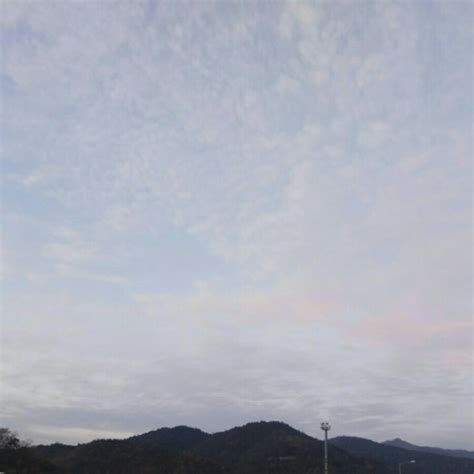 나는 주님께 속한자 주의 나라 위해 전심으로 살리라 주의 마음에 합한자 되어 맡기신 소명 이루리 네이버 블로그