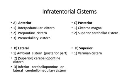 Anatomy Of Subarachnoid Cisterns Of Brain Pptx