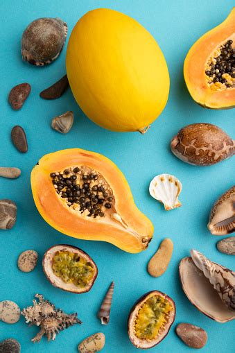 잘 익은 잘라 파파야 멜론 열정 과일 조개 블루 파스텔 배경에 자갈 상단 보기 클로즈업 개념에 대한 스톡 사진 및 기타 이미지