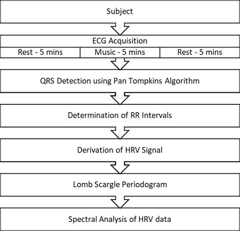 flowchart of conducted experimental protocol download scientific diagram