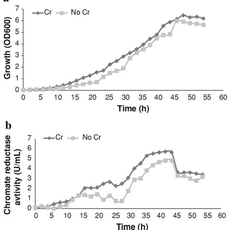 Growth A And Crvi Reductase Activity B By Amphibacillus Sp
