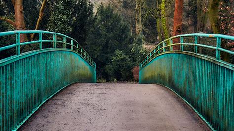 Bridge Railings Trees Forest 4k Hd Nature Wallpapers Hd Wallpapers