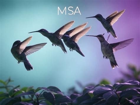 Understanding The Stages Of Multiple System Atrophy Msa Ccf For Psp