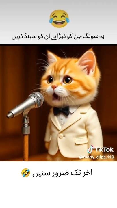 Y Song Onkaliya Hay Jin Ko Khirra Hay Funny Songs Funnysong Funny