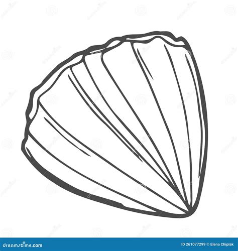 Sea Shell Scallop Vector Sketch Illustration Seashell Outline Icon Doodle Scallop Closed