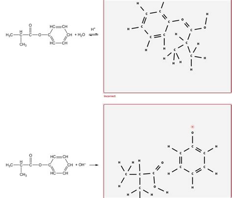 Solved H Hcech H C H C H Ch H H C C Ch Hcch H Chegg Com
