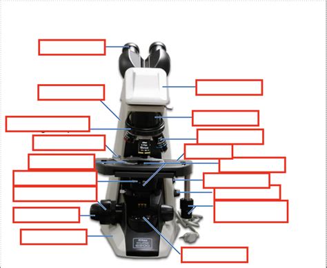 Microscope Biol 243l Diagram Quizlet