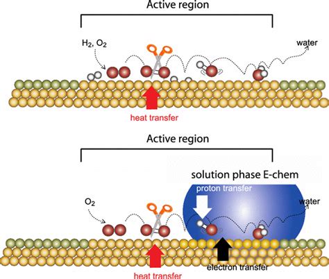 Catalytic Reaction Involving Molecular Oxygen At Gassolid Top And