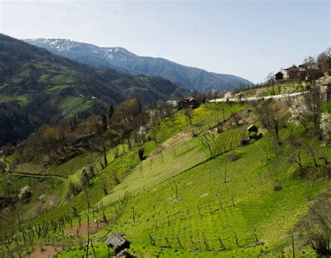 მოწვევა მედია ტურში მონაწილეობის მისაღებად Caucasus Environmental Knowledge Portal