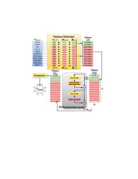 An Attention Based Deep Learning Method For Right Ventricular Quantification Using 2d