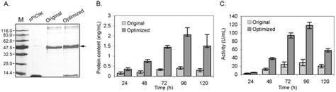 Oligonucleotide Synthesis Plos One