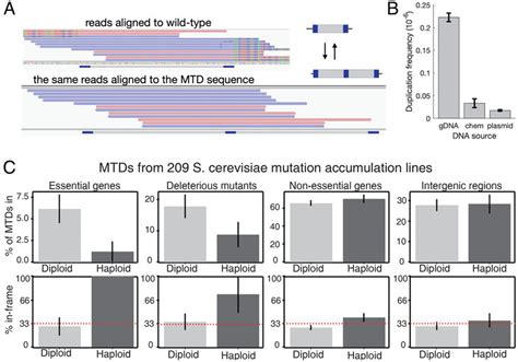 identification and verification of subclonal mtds from ultra deep