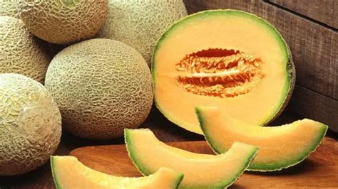 Kharbuja Benefits ಕರ್ಬೂಜ ಕರಬೂಜ ಪ್ರಯೋಜನಗಳು ಕೇವಲ ಒಂದು ಹಣ್ಣಿನಿಂದ ಅನೇಕ
