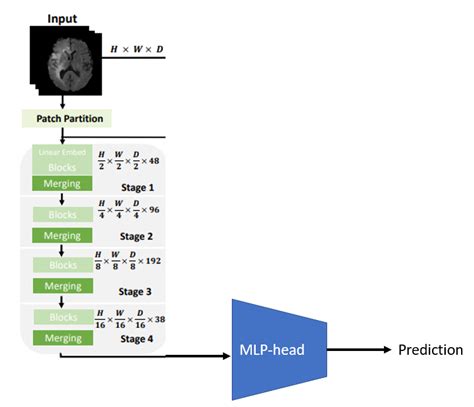 Github Larsleijtenswinclassifier Application Of A Swin Encoder On