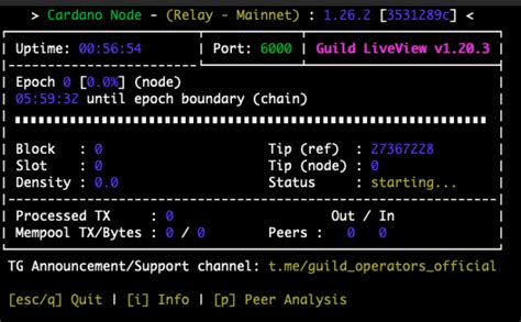 Coincashew Guide Step 8 Issue Cannot Get Block Producing Node To