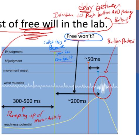 Neuroscience 1 Lecture Flashcards Quizlet