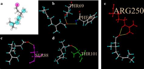 Details Of Autodock For Citronellal With Predicted Proteins A Download Scientific Diagram