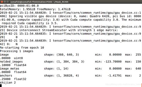 Mask R Cnn Tensorflow 训练自己的数据【从标注数据到最终训练和测试】超全教程，呕血踩坑，ubuntu 1604 完美运行mask Rcnn 自己数据数据集 Csdn博客
