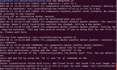 Docker Instantiation Failed With Error When Using Detectnetv2 Dataset