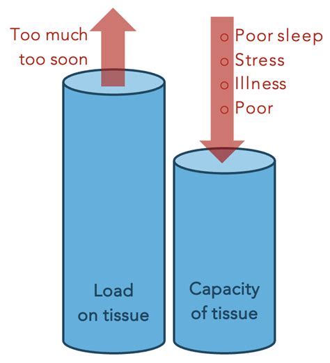 How To Increase Your Exercise Capacity Proven Tips Trident Movement