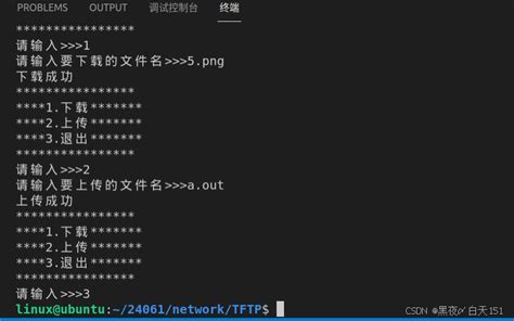 基于udp的tftp文件传输 csdn博客