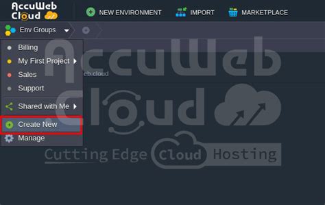 Create Environment Group Organize Accuwebcloud Projects