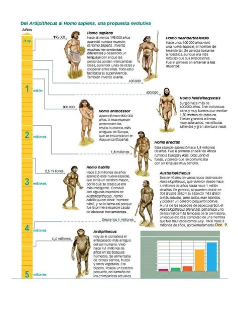 El Proceso De Hominización Ficha Del Libro 1° Pdf Evolución Humana