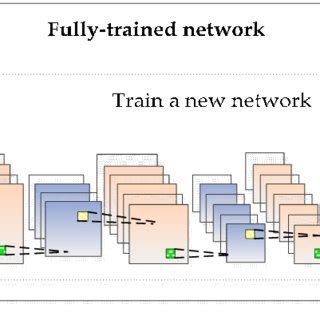 Basic Structure Of CNN 1 Input Layer The Input Layer Is The Input Of Download Scientific