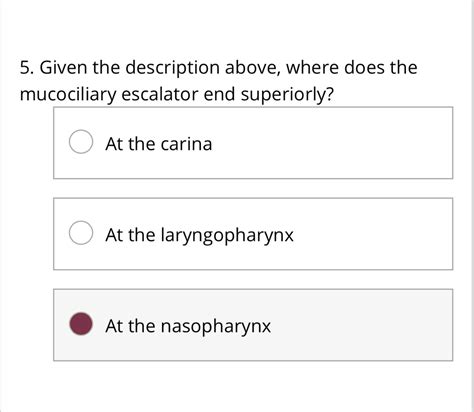 5 Given The Description Above Where Does The Mucociliary Escalator