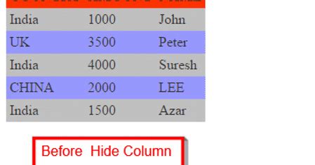 GridView Column Hide Or Remove In Asp Net C ScreenShotsDrizzles
