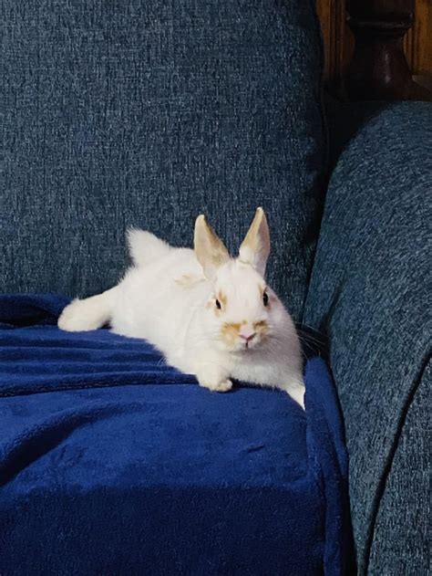 What R Linustechtips