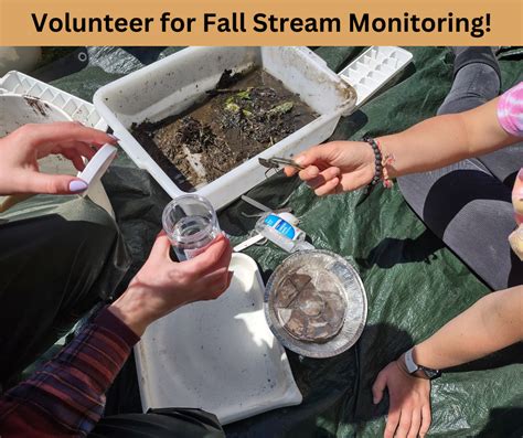 2025 eaton cd fall stream monitoring identification mi water stewardship