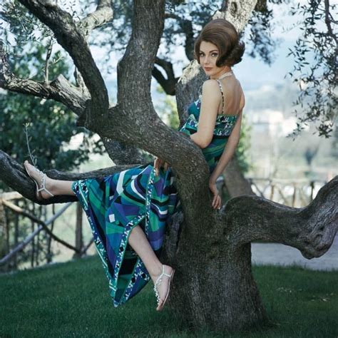 40 Glamorous Photos Of Sylva Koscina In The 1950s And 60s ~ Vintage