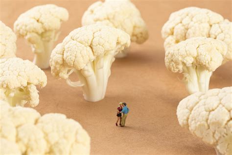 女性假疣和真疣的区别图（都是 菜花样”，真菜花和假性湿疣，二者有何区别？） 说明书网