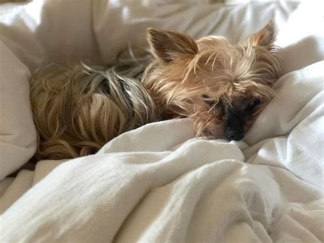 Lazy Friday
