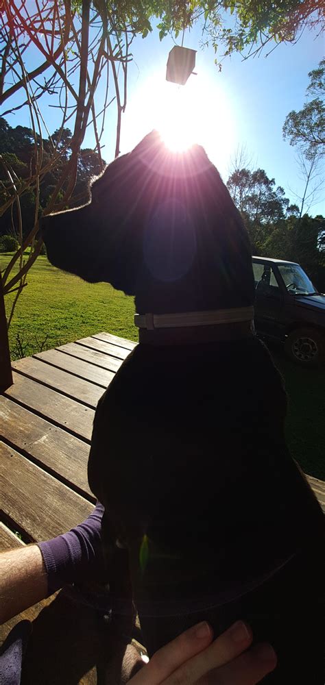 He Almost Looks Looks Like A Well Behaved Boy In This Pic Raww